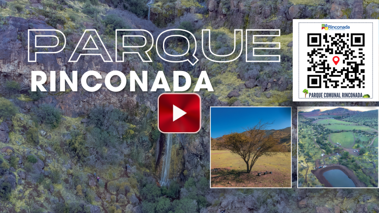 Municipalidad de Rinconada